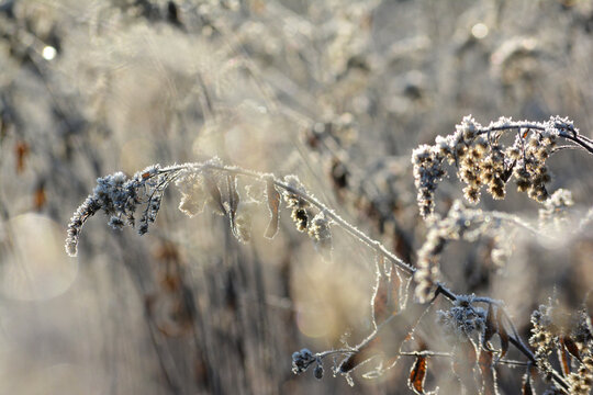 Osad Bilder – Durchsuchen 131 Archivfotos, Vektorgrafiken und Videos ...