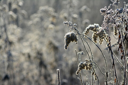 Osad Bilder – Durchsuchen 131 Archivfotos, Vektorgrafiken und Videos ...