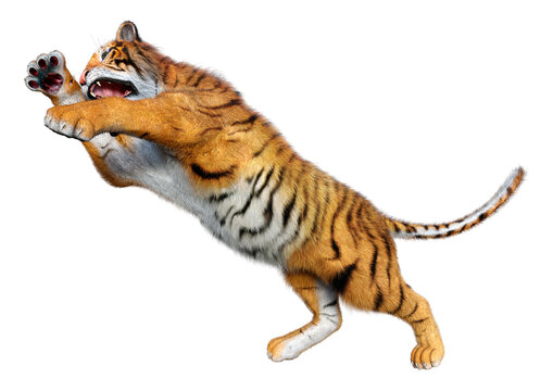 82,143 BÄSTA BILDERNA, STOCKFOTONA OCH VEKTORBILDERNA MED BESKRIVNINGEN ...