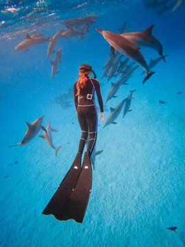 Apnoetauchen Bilder – Durchsuchen 11,859 Archivfotos, Vektorgrafiken ...