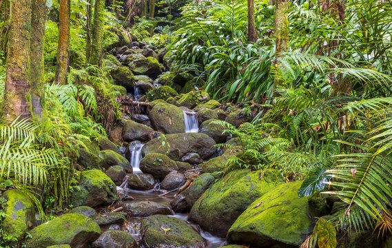 รูปภาพBioreserve – เลือกดูภาพถ่ายสต็อก เวกเตอร์ และวิดีโอ490,860 ...