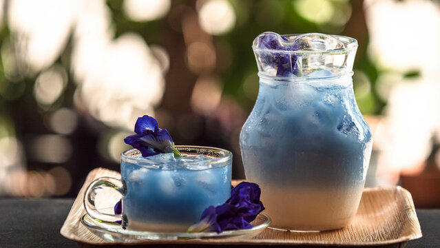 รูปภาพBluish-Purple – เลือกดูภาพถ่ายสต็อก เวกเตอร์ และวิดีโอ2,154 ...