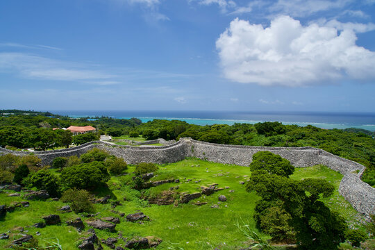 147 BEST Kunigami IMAGES, STOCK PHOTOS & VECTORS | Adobe Stock