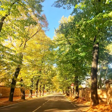 erblin photos, images, assets | Adobe Stock