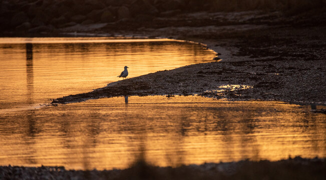 Solopgang Images – Browse 16 Stock Photos, Vectors, and Video | Adobe Stock