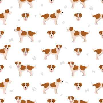 Kromi Images – Browse 40 Stock Photos, Vectors, and Video | Adobe Stock