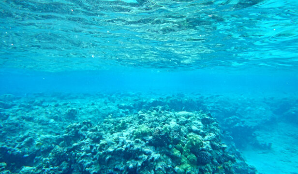 Meeresboden Bilder – Durchsuchen 361,849 Archivfotos, Vektorgrafiken ...