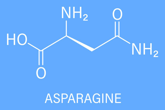 รูปภาพAsparagin – เลือกดูภาพถ่ายสต็อก เวกเตอร์ และวิดีโอ1,490 | Adobe Stock