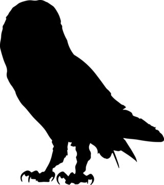 "Owl Silhouette" Images – Browse 1,344 Stock Photos, Vectors, and Video ...