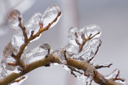 Ice-Covered bilder – Bläddra bland 3,801 stockfoton, vektorer och ...