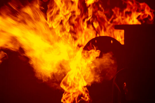 Brandwunde bilder – Bläddra bland 8,281 stockfoton, vektorer och videor ...