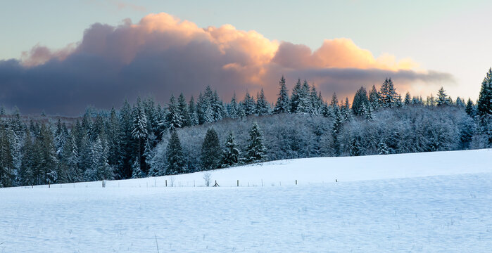 "Snowy Field" Bilder – Durchsuchen 2,782 Archivfotos, Vektorgrafiken ...