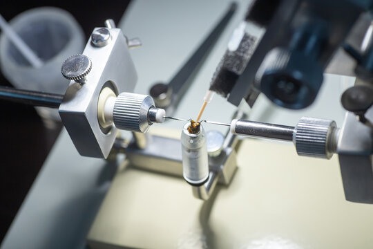 Inseminator-Bilder: Stock-Fotos & -Videos. | Adobe Stock