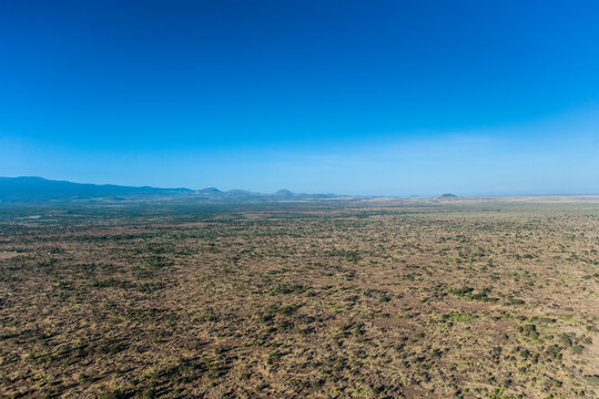 Brushland Images – Browse 375 Stock Photos, Vectors, and Video | Adobe ...