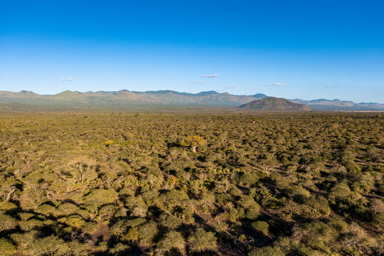 Brushland Images – Browse 375 Stock Photos, Vectors, and Video | Adobe ...