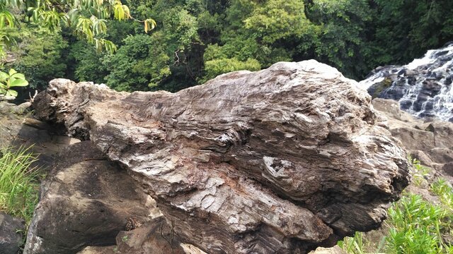 Kayu Images – Browse 21,166 Stock Photos, Vectors, and Video | Adobe Stock