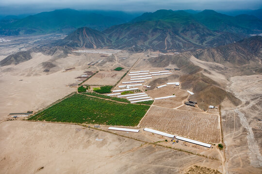 "Desert Farming" Images – Browse 1,524 Stock Photos, Vectors, and Video ...