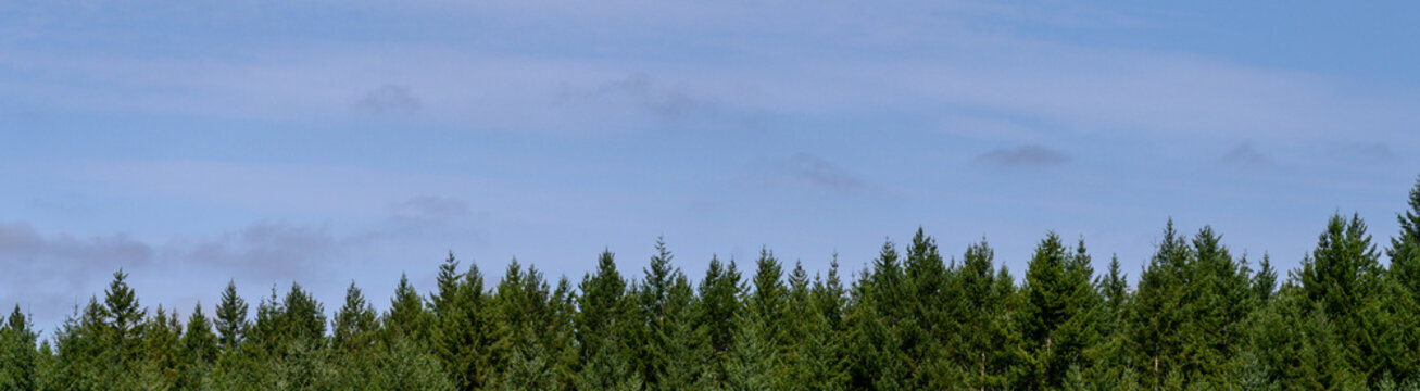 รูปภาพTreeline – เลือกดูภาพถ่ายสต็อก เวกเตอร์ และวิดีโอ67,737 | Adobe Stock