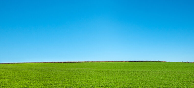 Free Field Images – Browse 22,484 Free Stock Photos, Vectors, and Video ...