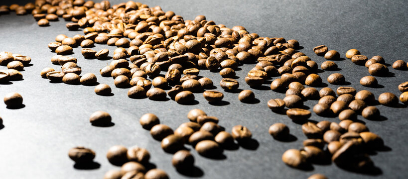 Jamoke Bilder – Durchsuchen 4,531 Archivfotos, Vektorgrafiken und ...