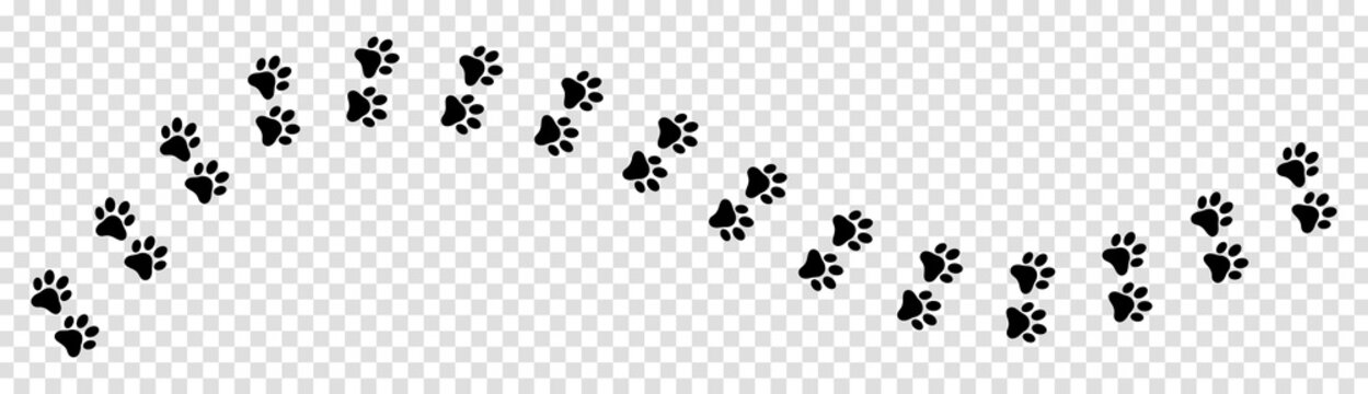 Paw Print Trail Clipart