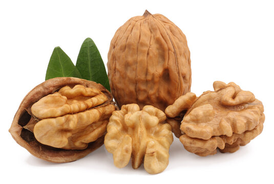 Walnoot bilder – Bläddra bland 95 stockfoton, vektorer och videor ...