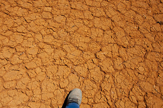 รูปภาพSilt – เลือกดูภาพถ่ายสต็อก เวกเตอร์ และวิดีโอ21,993 | Adobe Stock