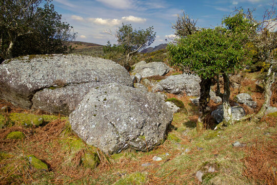 Rickety Bilder – Durchsuchen 3,400 Archivfotos, Vektorgrafiken und ...