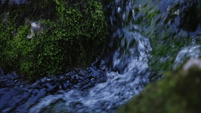 "Gros Plans" Imagens – Procure 328 fotos, vetores e vídeos | Adobe Stock