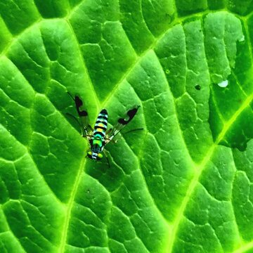 Chillin Images – Parcourir 870 le catalogue de photos, vecteurs et ...