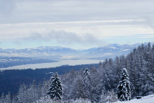 Kalte bilder – Bläddra bland 4,322 stockfoton, vektorer och videor ...