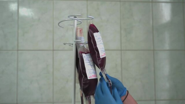 Haemotherapy Images – Browse 699 Stock Photos, Vectors, and Video ...