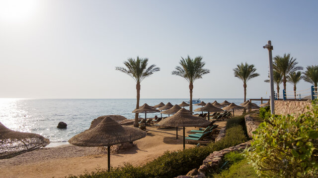 El Bilder – Durchsuchen 173,515 Archivfotos, Vektorgrafiken und Videos ...