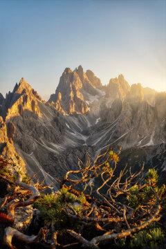 รูปภาพDuri – เลือกดูภาพถ่ายสต็อก เวกเตอร์ และวิดีโอ439 | Adobe Stock