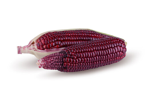 "Purple Corn Images – Browse 19,080 Stock Photos, Vectors, and Video ...