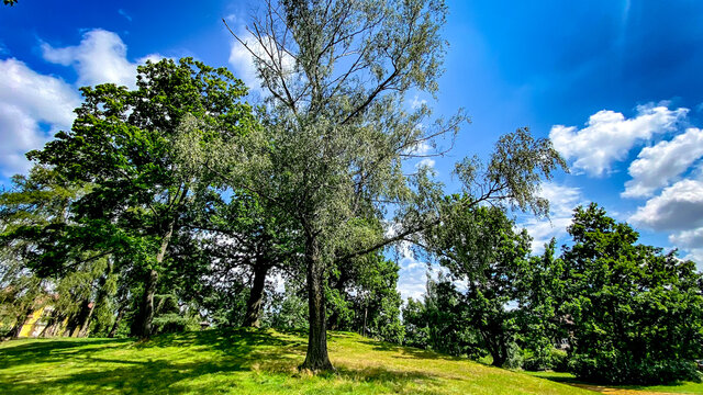 "Czech City" Bilder – Durchsuchen 358 Archivfotos, Vektorgrafiken und ...