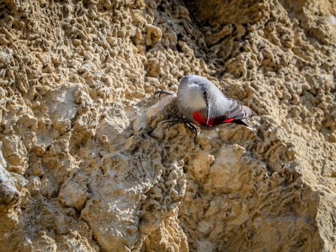 Daniel Dunca photos, images, assets | Adobe Stock