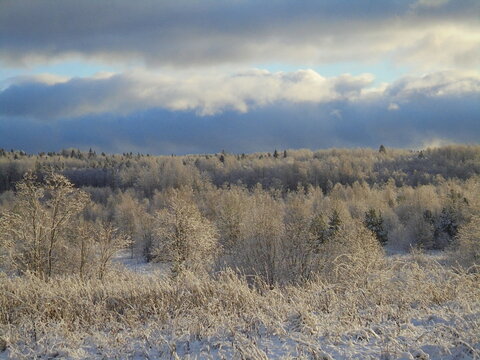 "Snow-Covered Forest" Images – Browse 599 Stock Photos, Vectors, and ...