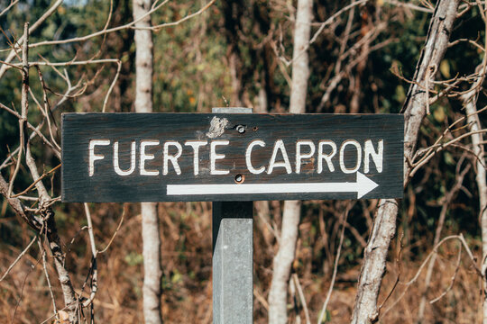 Capron Bilder – Durchsuchen 2,140 Archivfotos, Vektorgrafiken und ...