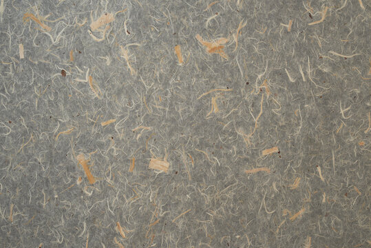 "Wood Fibers" Images – Browse 1,043 Stock Photos, Vectors, and Video ...