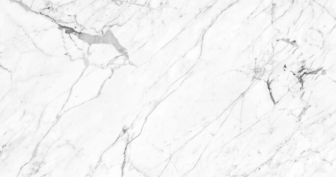 928개의 최고 Calacatta 이미지, 스톡 사진 및 벡터 | Adobe Stock