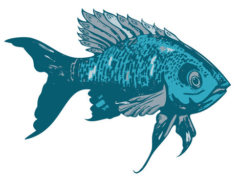 394,717개의 최고 Fin 이미지, 스톡 사진 및 벡터 | Adobe Stock