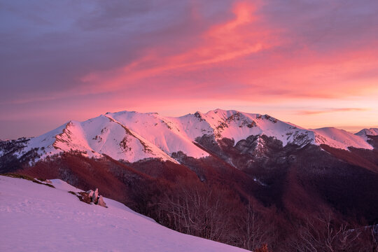 Monte Bilder – Durchsuchen 142,177 Archivfotos, Vektorgrafiken und ...