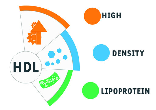 Imágenes de Hdl: descubre bancos de fotos, ilustraciones, vectores y ...
