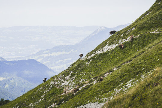 「Abhang」の画像 - 5,660 件の Stock 写真、ベクターおよびビデオ | Adobe Stock