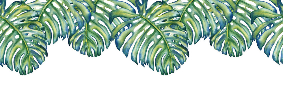 Monstera Leaf Border Images – Browse 13,693 Stock Photos, Vectors, and ...