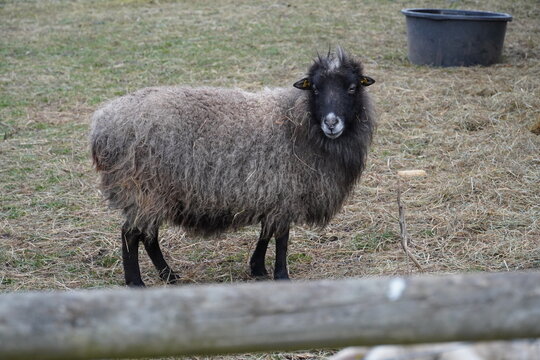 Rammen bilder – Bläddra bland 1,916 stockfoton, vektorer och videor ...