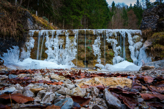Gumpe Bilder – Durchsuchen 308 Archivfotos, Vektorgrafiken und Videos ...