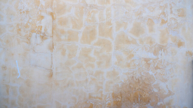 Imágenes de Cuarteada: descubre bancos de fotos, ilustraciones ...