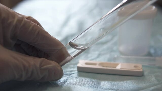 "The Sample" Images – Browse 3,435 Stock Photos, Vectors, and Video ...